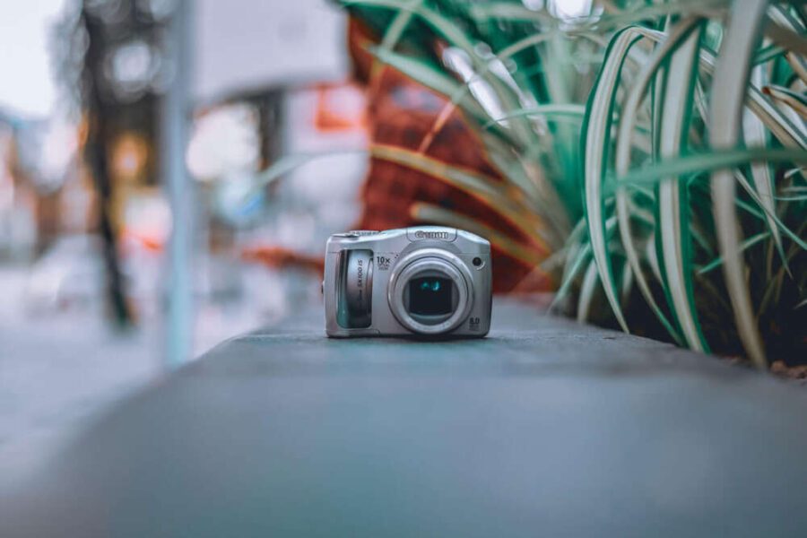 The Resurgence Of Digicams: A Look At The Classic Digital Camera Trend ...